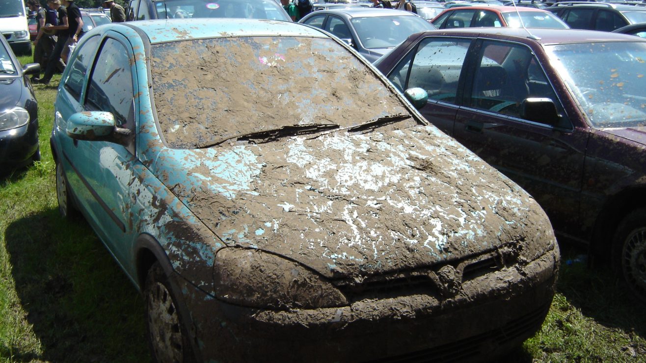 Cómo limpiar caca de pájaro del auto? | Como Limpiar